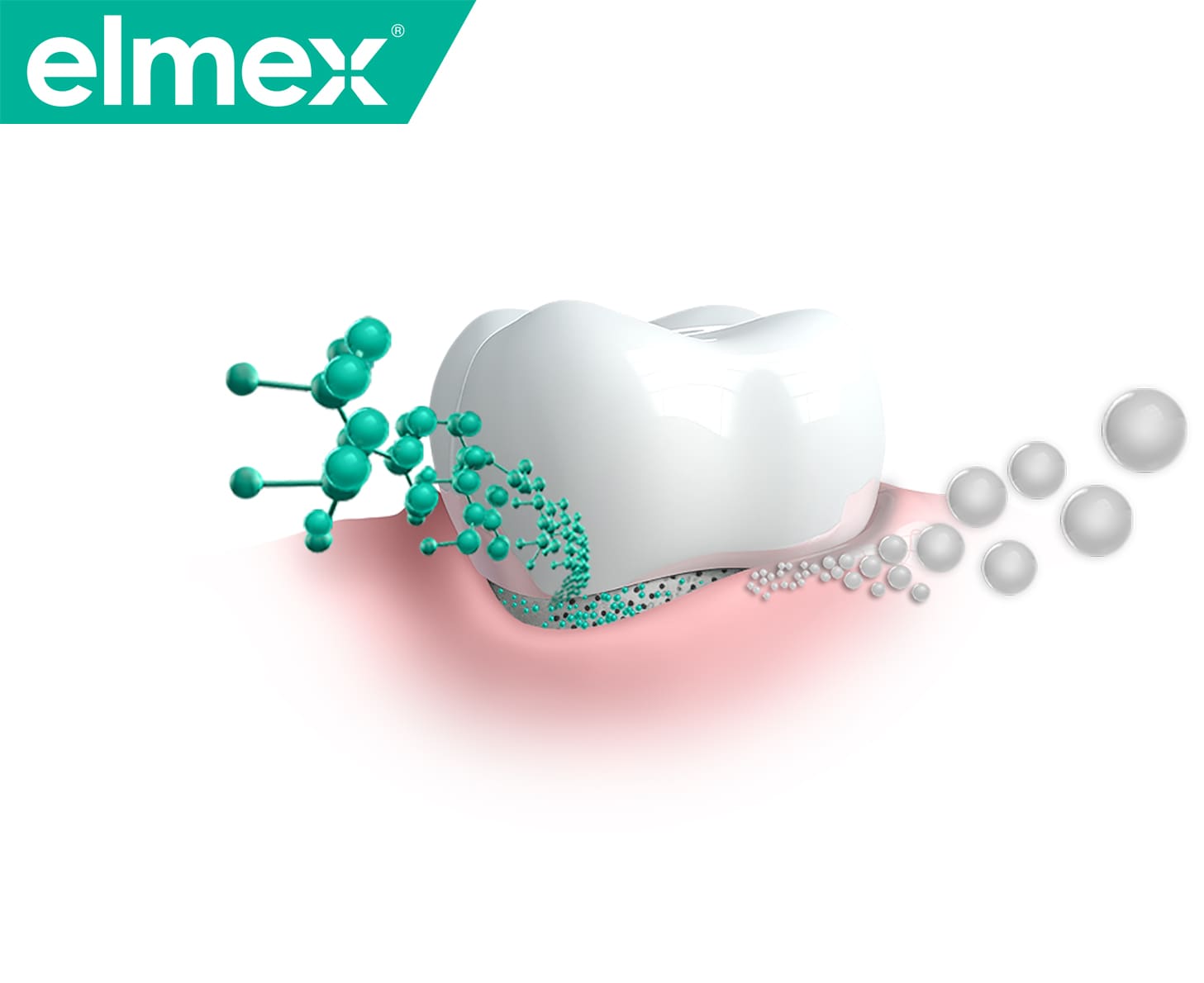 elmex® SENSITIVE PROFESSIONAL Zahnpasta | GABA® Professional